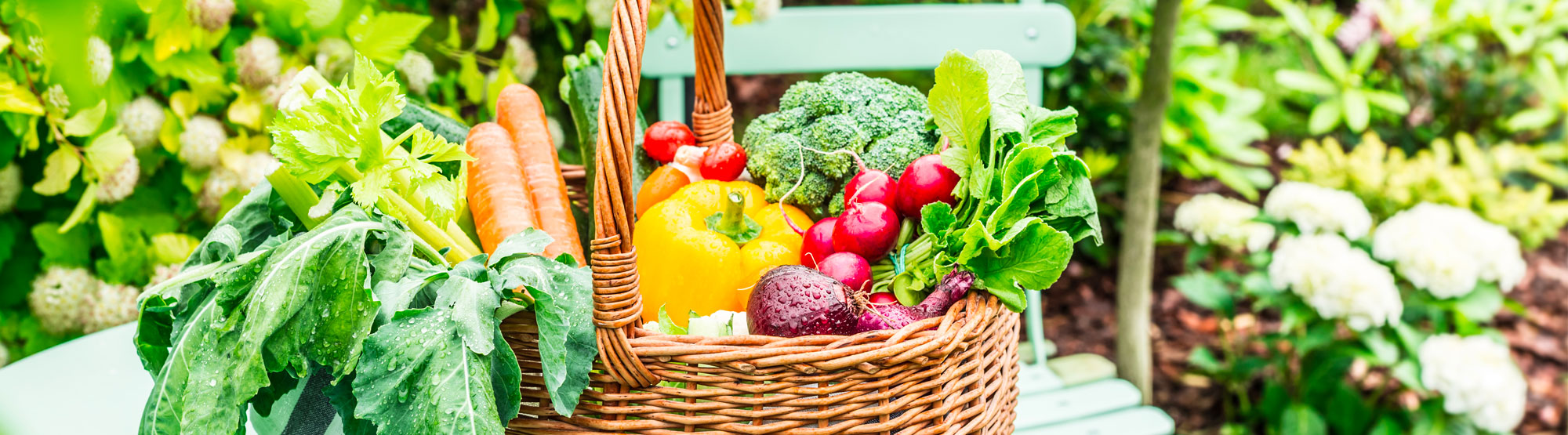 5 Easy Dishes to Make with Summer Produce | Dignity Health