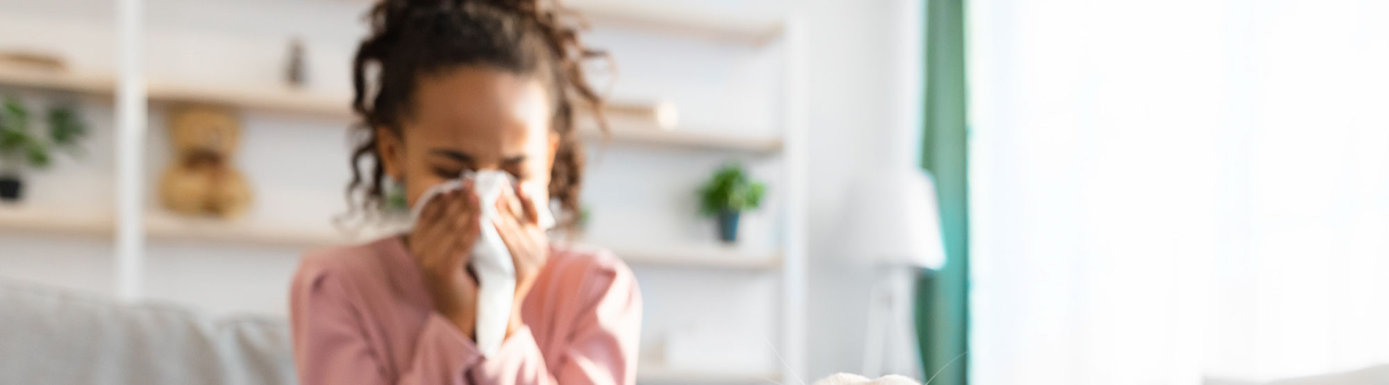 7 Tips to Allergy-Proof Your Home | Dignity Health