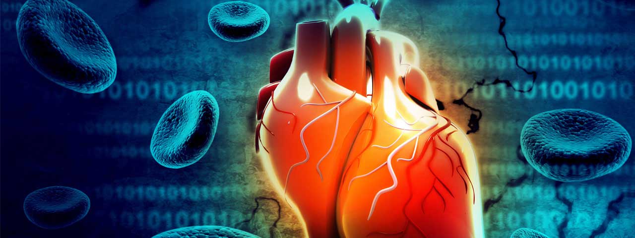 Cardiac CTA Training | Mercy Gilbert Medical | Dignity Health | Dignity ...